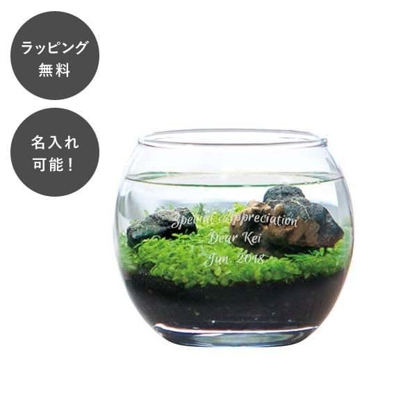 水草のアクアリウムを作り上げるまでに必要なものが揃った水草の栽培セット。贈られた方がどんな水景を作り上げていくのか、贈られた方はもちろん贈る方も末永く楽しめるプレンゼントになります。ガラス鉢にご希望のメッセージが入ります。名入れ ノベルティ...
