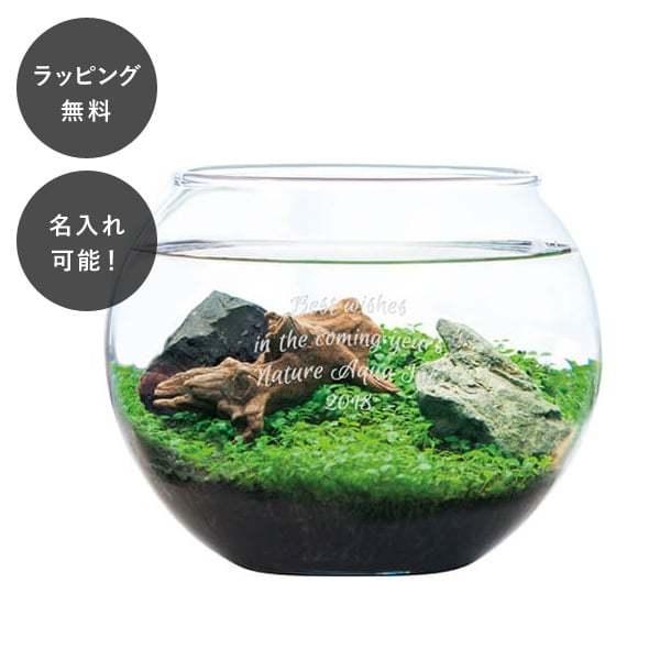 水草のアクアリウムを作り上げるまでに必要なものが揃った水草の栽培セット。贈られた方がどんな水景を作り上げていくのか、贈られた方はもちろん贈る方も末永く楽しめるプレンゼントになります。ガラス鉢にご希望のメッセージが入ります。名入れ ノベルティ...