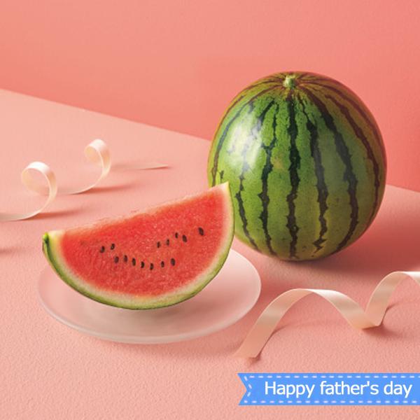 【商品内容】●熊本県または長崎県または和歌山県産　ピノガール×2(1玉1.5kg) ●ボール箱入●箱サイズ：36.5×20×21cm●箱重量：3.5kg●宅配温度区分：常温●JAN 2423495007947＃ 父の日 父の月 Father...