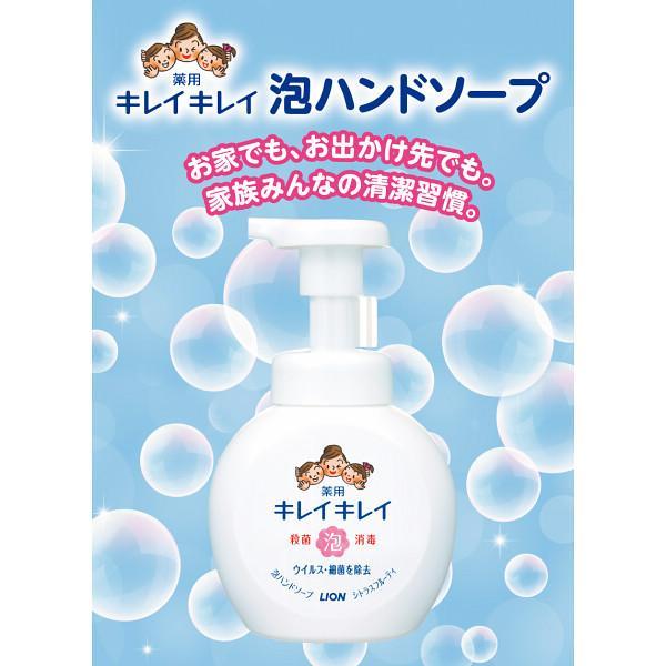 【商品内容】●キレイキレイ薬用泡ハンドソープ250ml×2・同詰替用200ml×6※ハンドソープ・詰替用＝医薬部外品●原産国：日本●加工地：日本●化粧箱入●箱サイズ：32×37.8×7cm●箱重量：2.3kg●JAN 24255150140...
