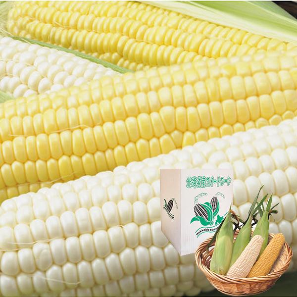 【商品内容】●イエローコーン(L〜2Lサイズ)×3、ホワイトコーン(L〜2Lサイズ)×2●原産国：日本●化粧箱入●箱サイズ：17×25×37cm●箱重量：1.8kg●宅配温度区分：冷蔵●JAN 2458510004694# 夏ギフト お中元...
