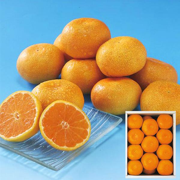 【商品内容】●佐賀県産温室みかん(15〜21玉)計1.5kg●加工地：日本●化粧箱入●箱サイズ：23×17×9cm●箱重量：1.8kg●宅配温度区分：常温●JAN 2423495005493# 夏ギフト お中元 中元 暑中見舞い 残暑見舞い...