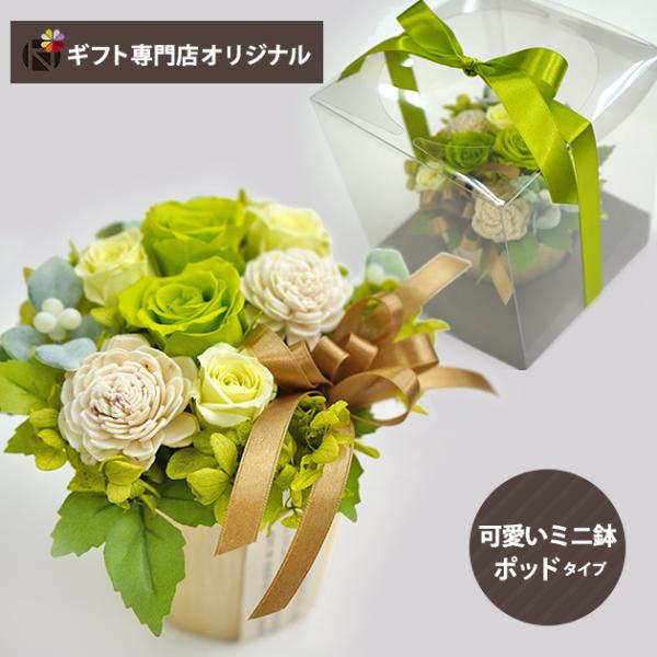 【商品内容】●花材：プリザーブドフラワー/フェイクグリーン/ナチュラルバスケット(主成分・木)/リボン/●カラー(色)：グリーンホワイト（緑・白）●鉢部分：天然素材(主成分・木)●クリアケース入り※自然の花を加工した商品のため、ひとつひとつ...