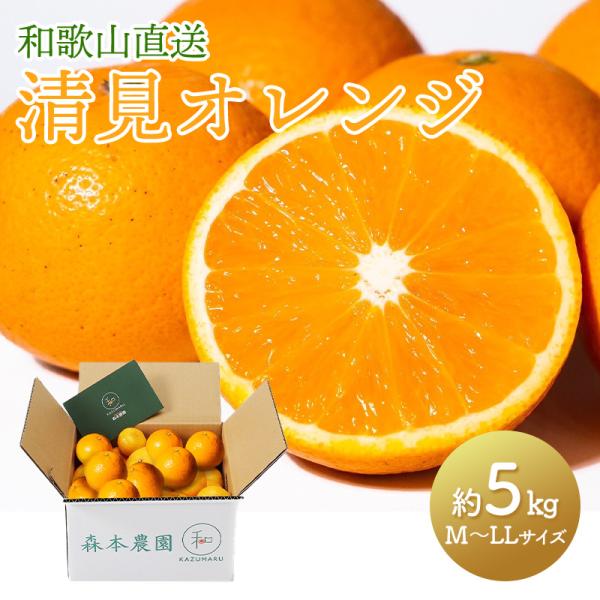 ◆ギフト・贈り物としてのオススメ用途誕生日プレゼント 結婚記念日 結婚祝い 母の日 父の日 敬老の日 お祝い 還暦祝い 就職祝い 進学祝い 快気祝い 内祝い プチギフト バレンタインデー ホワイトデー◆こんなシーンにもオススメです結婚祝い ...