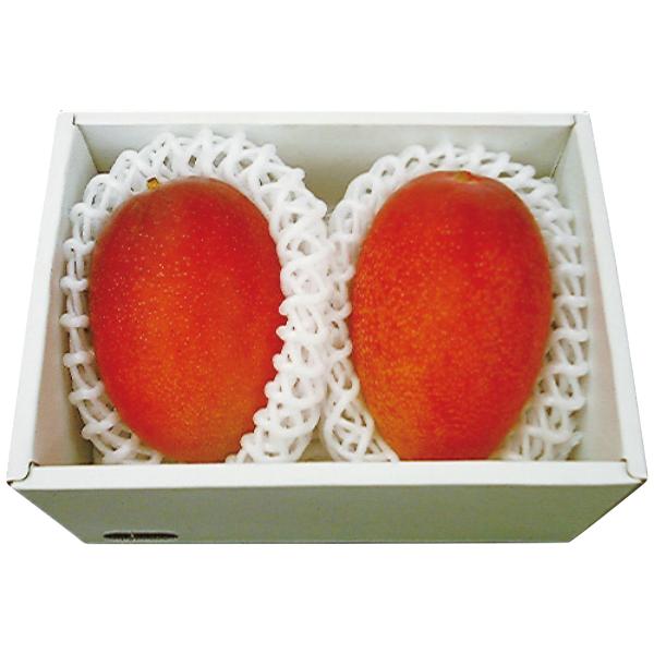 ●箱21.5×13×14.5cm●沖縄県産マンゴー2玉(計約600g) 日本製 冷蔵