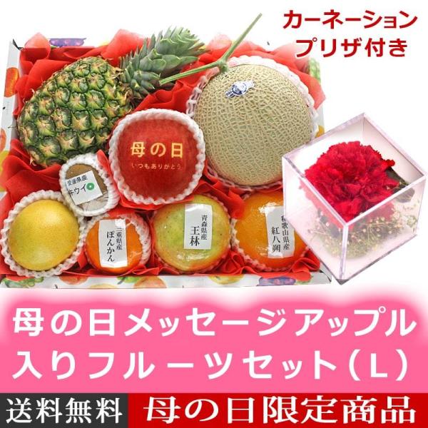 母の日期間限定 フルーツギフト母の日メッセージアップル入りフルーツセット(L) カーネーション付き■内容量《果物一例》・静岡マスクメロン（クラウンメロンorアローマメロン）・パイナップル・キウイ・リンゴ・柑橘類その他、旬のフルーツ＋　カーネ...