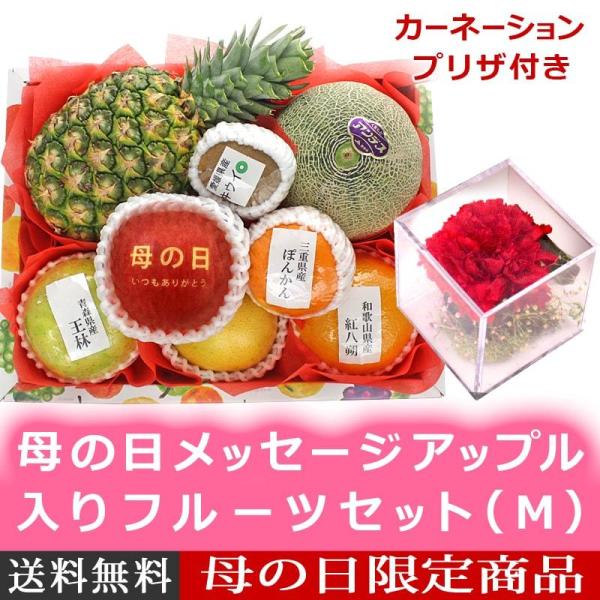 母の日期間限定 フルーツギフト母の日メッセージアップル入りフルーツセット(M) カーネーション付き■内容量《果物一例》・メロン・パイナップル・キウイ・リンゴ・柑橘類その他、旬のフルーツ＋　カーネーションのプリザーブドフラワー※上記内容はあく...