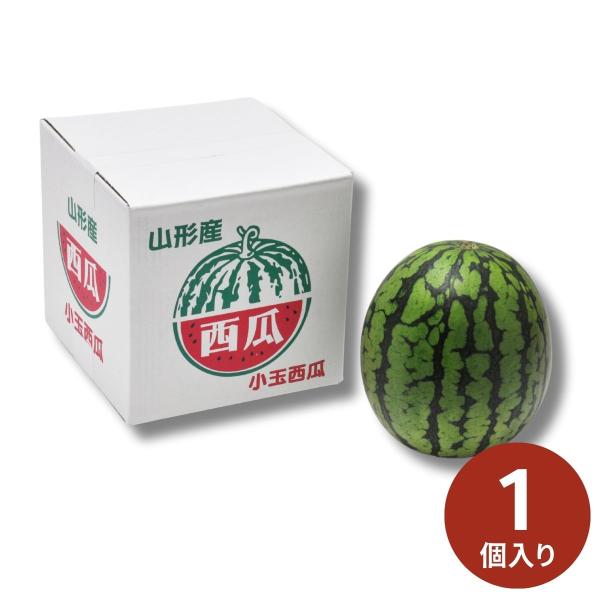 夏すいかの名産地からお届けする小玉すいかは、皮が薄いので可食部も多く、大玉に負けない強い甘みとシャリ感が特徴。冷蔵庫に入る大きさで保存、持ち運びにも優れていて時代のニーズにあった人気のすいかです。【発送に関するご注意】天候や生育状況によって...