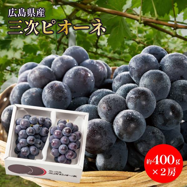 濃厚な甘さと爽やかな酸味のバランスが絶妙な三次ピオーネ。深みのある色艶と気品ある形状から「黒い真珠」とも称される広島が誇る逸品です。【発送に関するご注意】天候や生育状況によっては発送時期が前後する可能性があります。収穫次第出荷のため、お届け...