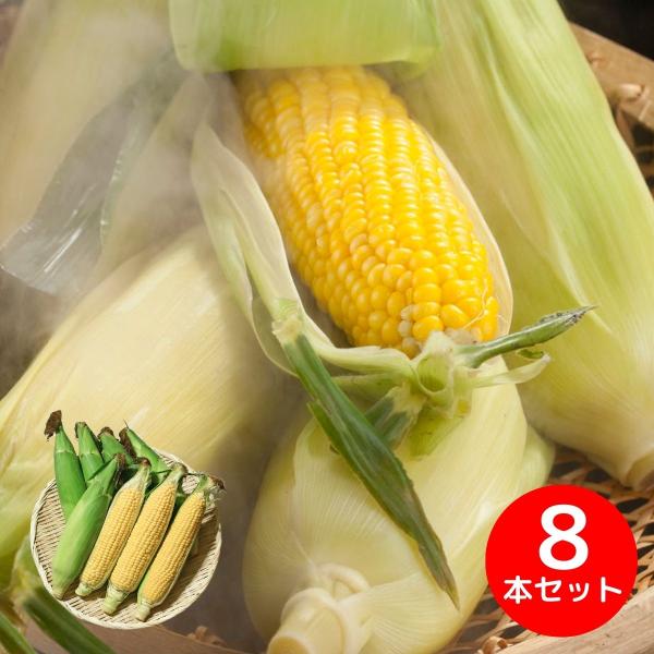 函館の豊かな土壌と特産昆布の肥料で育った「恵味ゴールド」。糖度18度以上の圧倒的な甘さと、皮が薄く弾けるような食感が魅力です。生でも食べられるほどフルーティーでジューシーな、函館の夏の至極の逸品です。【発送に関するご注意】天候や生育状況によ...