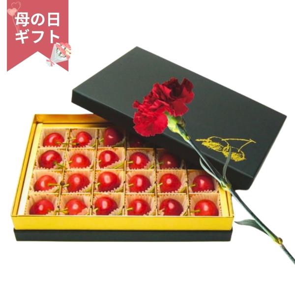 冬の間から準備をしハウスの中で手間を惜しまず丁寧に育てたさくらんぼと、母の日ギフトの定番であるカーネーションのセットです。ひと足早い初夏の味わいと日ごろの感謝の思いを形にしてお届け。※支払い方法において銀行振込やコンビニ決済を選択後、商品の...