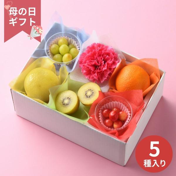さくらんぼ・オレンジ・キウイ・ぶどう・日向夏などの季節の柑橘…、5種類の果物を宝石箱に見立てて詰合せました。カーネーションのお花(造花)を添えた、母の日ギフトです。〇商品内容：ハウスさくらんぼ5〜7粒(山形県又は山梨県又は福島県又は長野県又...