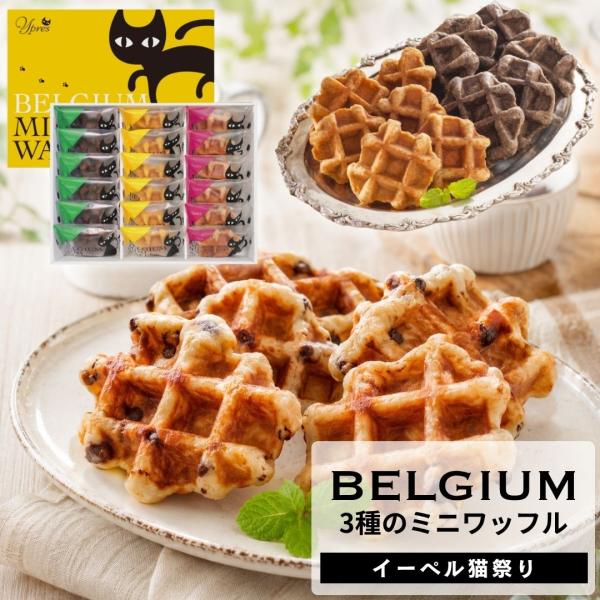 【爆買】 爆買いWeek＜商品名＞　 イーペルの猫祭り　ベルギーミニワッフル＜記号＞　　 YJ-BWW-GX＜内容量＞　 メープル・ショコラ・イチゴ×各6(計18)＜賞味期限＞ 製造から常温90日未満※詳細に関してはお問い合わせください。＜...