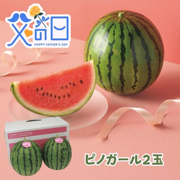 ●商品名：ピノガール（２玉）●商品説明：食べるときに種がほとんど気にならない種の大きさが従来の４分の１程度にしかならないマイクロシードのすいか。皮が非常に薄く、すいかの抜群のシャリ感と甘さも併せ持つとても美味しい西瓜です。●商品内容：熊本県...