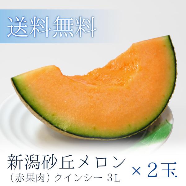 角田山近くに広がる新潟砂丘で育った、大きくて重たく、瑞々しいメロンです。豊かな香りと口いっぱいに広がる甘みをぜひお楽しみください。※産直のため同梱・代引不可となります。※出荷は7月上旬〜7月20日頃を予定しております。※鮮度の良いものを出荷...
