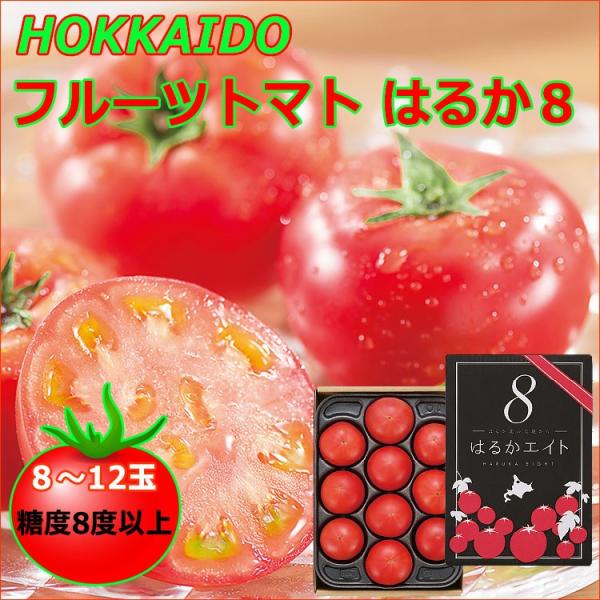 北海道産 フルーツトマト はるか8●フルーツトマト　約800ｇ（8〜12玉）　下川産・美深産商品関連ワード お中元 ギフト フルーツトマト はるか8 約800gお中元 お礼 お返し 内祝い 快気祝い にどうぞ7月上旬〜8月中旬 出荷予定にな...