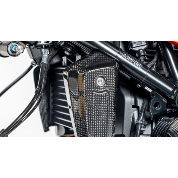 Ilmbergerカーボンパーツは、Moto GP プラマック・レーシングMoto3 SIC58・スクアドラ・コルセ採用メーカーです！GIGASTATIONはIlmberger社の正規代理店です。こちらの商品はカーボングロッシー仕上げ(艶あ...