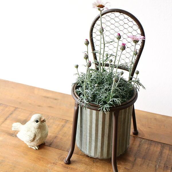メッシュ状の背もたれが可愛いノスタルジックな佇まいのチェアー型ポットはブリキの質感やシャビーな風合いが瑞々しい花やグリーンの色彩をより一層鮮やかに魅せてくれます遊び心のあるユニークなデザインは玄関先やウッドデッキで目を引くアクセントになりそ...