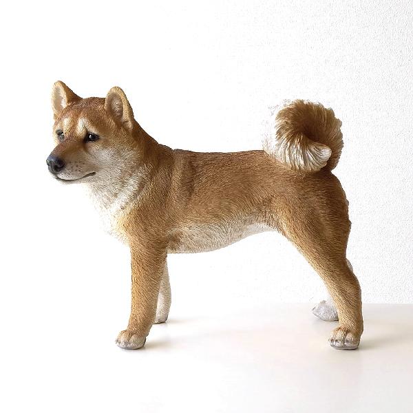まるで本物のワンちゃんがいるようなとても精巧に作られた柴犬のオーナメントです事情があってペットが飼えないお宅や無類のワンちゃん好きさんにとってもおすすめです賢い顔つきと優しい瞳の柴犬は玄関に座らせると 待ってたよー と出迎えてくれそうで思わ...