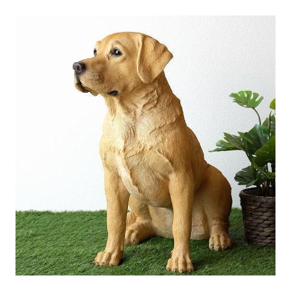 まるで本物のワンちゃんがいるようなとても精巧に作られたオーナメントです事情があってペットが飼えないお宅にとってもおすすめです玄関に座らせるといつも優しい顔で出迎えてくれ思わず、撫でたくなります商品名 ： オーナメント ラブラドールレトリバー...