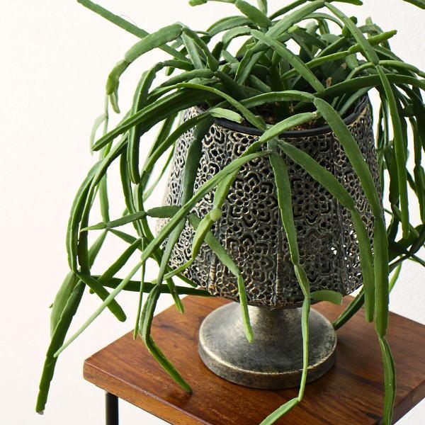 レトロでシャビー感のあるアイアンにレース模様を型抜きしアンティーク風ゴールドカラーを施した中世の聖杯のような形のフラワーカップ鉢カバーとしてはもちろん単体でオブジェとして飾っても絵になる趣向を凝らしたデザインです高台があることでディスプレイ...