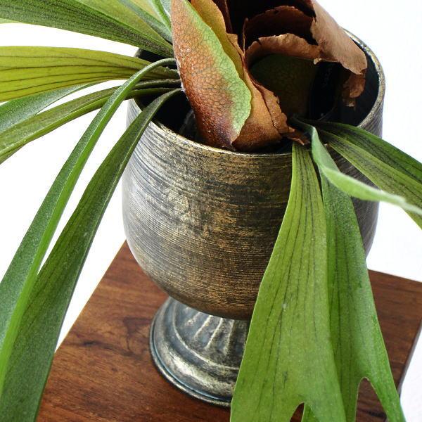 レトロでシャビー感のあるアイアンにアンティーク風ゴールドカラーを施した中世の聖杯のような形のフラワーカップ鉢カバーとしてはもちろん単体でオブジェとして飾っても絵になる趣向を凝らしたデザインです高台があることでディスプレイに高低差が生まれ平坦...