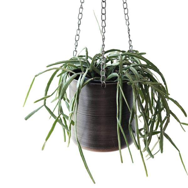 無骨なアイアンがグリーンを引き立てるチェーン付きのハンギングポットは吊るすだけで空間を立体的に演出し360度どこからでも植物を愉しめるアイテムアイアンの落ち着いた質感はどんな色味の鉢花やグリーンとも相性抜群長く伸びる蔦や色鮮やかな花を添えて...