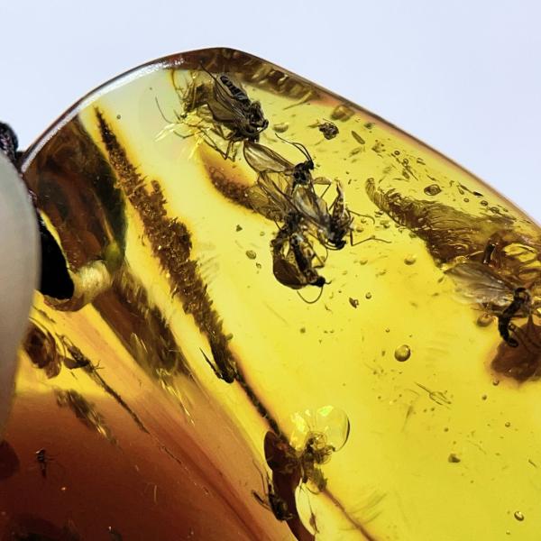 天然石専門　業界最低価格を目指す！　============【Instagram ID：gimi.chao】ライブ配信あり、新商品＆キャンペーン投稿あり============天然石の特性として、多少のキズや色、形、サイズ等の違い、インクル...