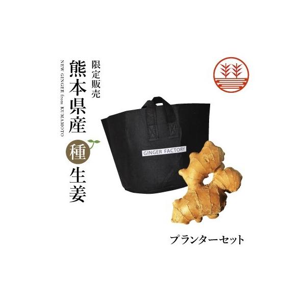 ※商品発送について※・天候やエリアを考慮して、3月下旬頃から順次発送いたします。・同時注文の商品も3月下旬頃同梱発送となりますので、最短発送をご希望の商品は、注文を分けてご購入お願いします。・最短発送をご希望の場合は、ご注文の際にコメントお...