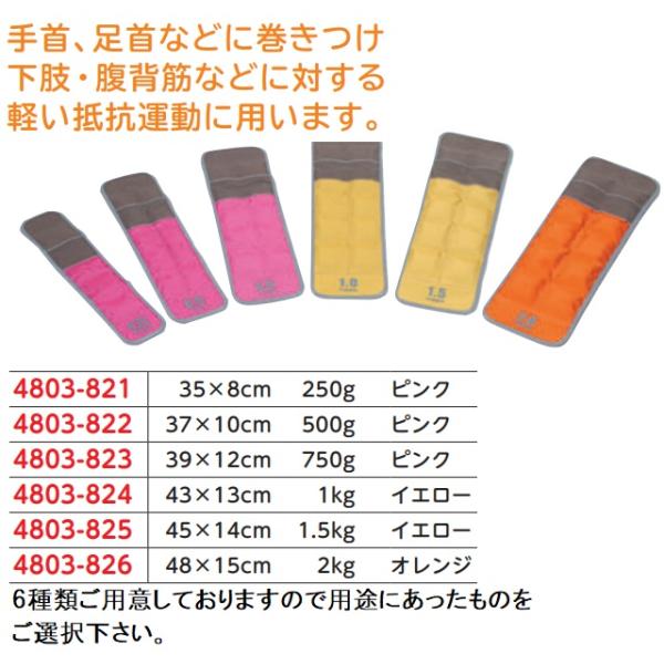 手首、足首などに巻きつけ下肢・腹背筋などに対する軽い抵抗運動に用います。★バンドの装着はマジックテープ固定のため　大変容易に行えます。●材質／ナイロン、鉛球●大きさ／35×8cm ●重さ／250g ●色／ピンク※クロネコゆうパケット対応外サイズ