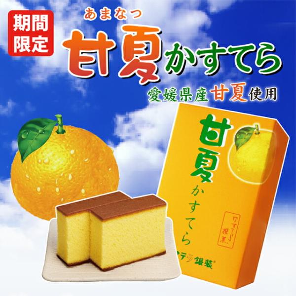 銀装　撰菓 甘夏かすてら ハーフ（5切れ）愛媛県産甘夏を使用しています。甘夏のほのかな苦みと爽やかな香り広がるかすてらです。内 容 量　５切れ×１パック賞味期限　お届けから３週間程度保存方法　直射日光、高温多湿を避け、開封後はお早目にお召し...