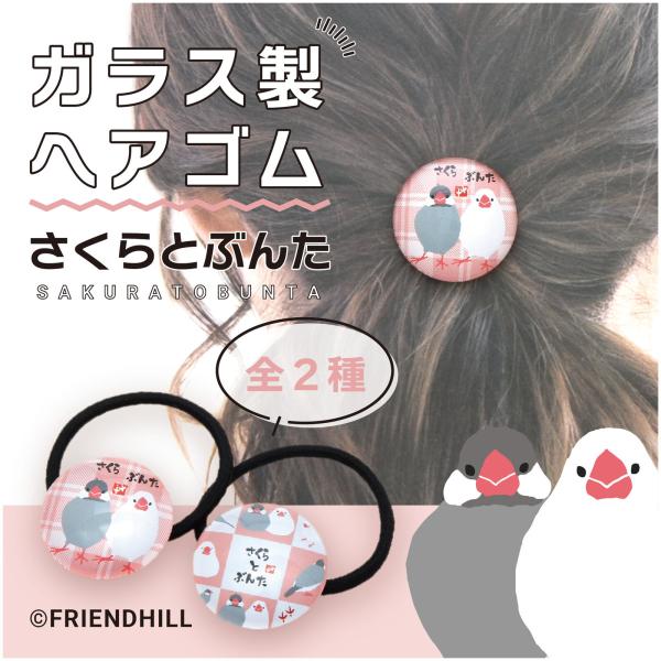 ☆ガラス製のため宅配便でのお届けとさせていただきます☆ 可愛いさくらとぶんたのガラスヘアゴム!!ガラスの透明感が絵柄を引き立てる、立体感のあるヘアゴムです♪サイズ：約W45×H73×D14mm　（ゴム部分含む） :ガラス部分　φ35mm素材...
