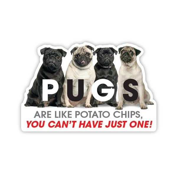 ４頭のパグさんが、こちらをじっと見つめる可愛いマグネット。パグ好きさんにはたまらない!!車や冷蔵庫…マグネットのつくところならどこにでも飾れるのでお気に入りの場所に貼ってください。サイズ　約12.5cm×8cm