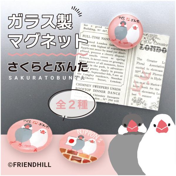 ☆ガラス製のため宅配便でのお届けとさせていただきます☆ 可愛いさくらとぶんたの室内マグネット!!ぷっくりしたガラスを使用した立体感のあるマグネット♪ガラスは紫外線の劣化に強いため、長くお使いいただけます。 磁石部分はプラスチックパーツの中に...