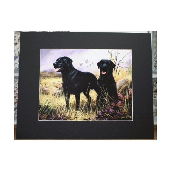 USA輸入品。繊細なタッチで描かれた美しいポスターを黒のマットで縁取り、絵を引き立たせています。お部屋のアイキャッチポイントにもおススメです!!Size　全体のサイズ　約51×40.5cm　　 　　　　　　絵の部分　約30.5×26.8cm...