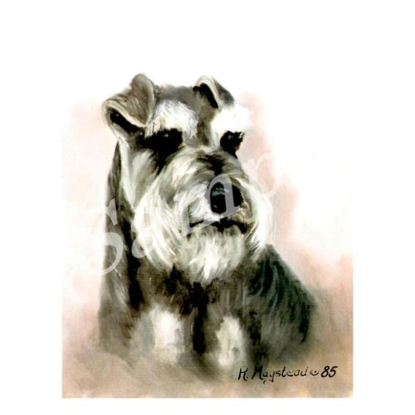 シュナウザー　グリーティングカード。愛犬家の方へのプレゼントに添えていただくのに最適です。額などに入れていただくと、素敵なインテリアとしてお楽しみいただけます。サイズ 　　約14センチ×10.5センチ内容量 　　カード１枚・封筒１枚生産国 ...