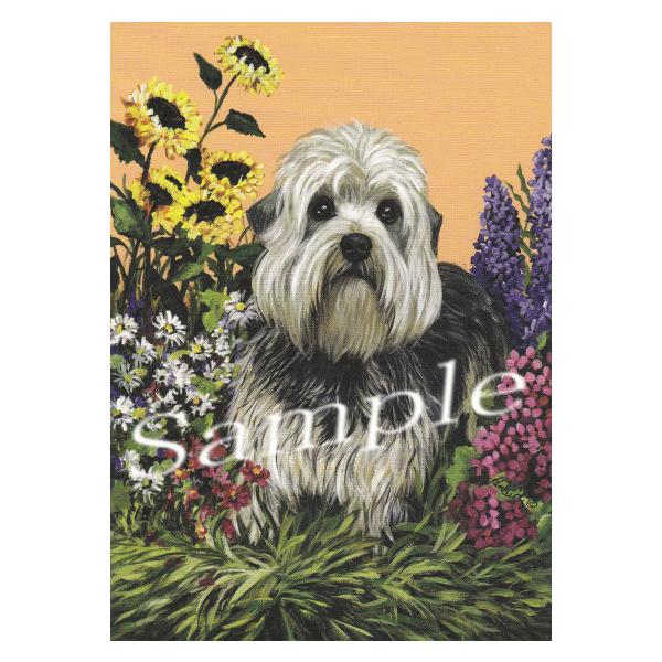 ダンディ・ディモント・テリア グリーティングカード。愛犬家の方へのプレゼントに添えていただくのに最適です。額などに入れていただくと、素敵なインテリアとしてお楽しみいただけます。  題名　　Dandie Dinmont Terrierサイズ ...