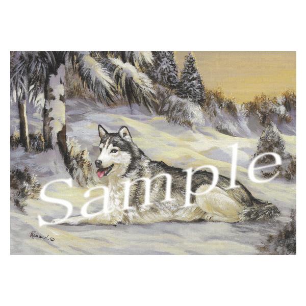 シベリアン・ハスキー グリーティングカード。愛犬家の方へのプレゼントに添えていただくのに最適です。額などに入れていただくと、素敵なインテリアとしてお楽しみいただけます。題名　　Siberian Husky Winterscape サイズ 　...