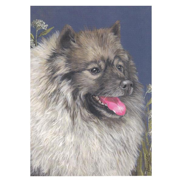 キースホンド グリーティングカード。愛犬家の方へのプレゼントに添えていただくのに最適です。額などに入れていただくと、素敵なインテリアとしてお楽しみいただけます。題名　　Keeshond Natural Beauty サイズ 　　縦17.8セ...