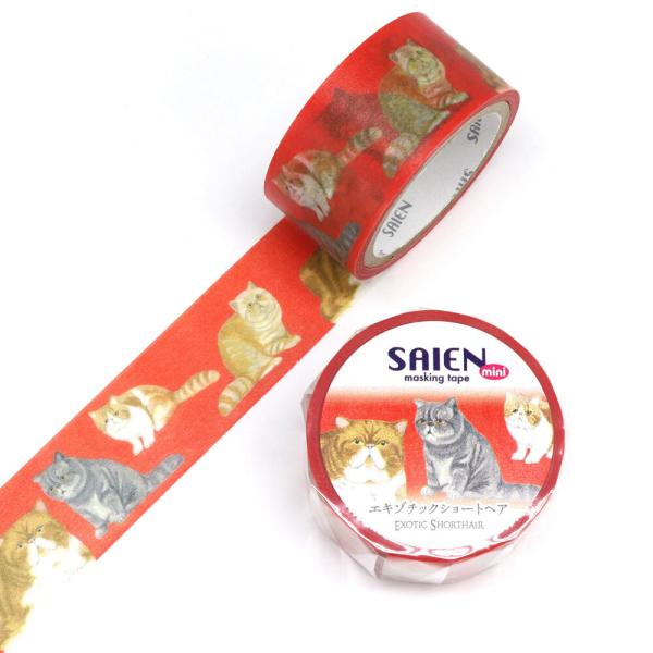 色の濃淡が美しく、ちぎり感や透明感のある国産和紙マスキングテープ。手帳や図画工作に使える、楽しく可愛らしい仕上がりになっています。仕様：幅20mm×4m数量：1個■生産地：日本■素材・成分：素材：和紙　粘着剤：アクリル系