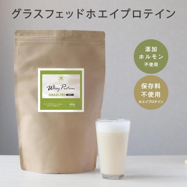【商品名】グラスフェッドホエイプロテイン　プレーン味【名称】ホエイたんぱく濃縮物【原材料名】ホエイたんぱく（乳成分を含む）【内容量】400ｇ【栄養成分表示】100g当たり（推定値）：熱量392 kcal / たんぱく質79.0 ｇ / 脂質...