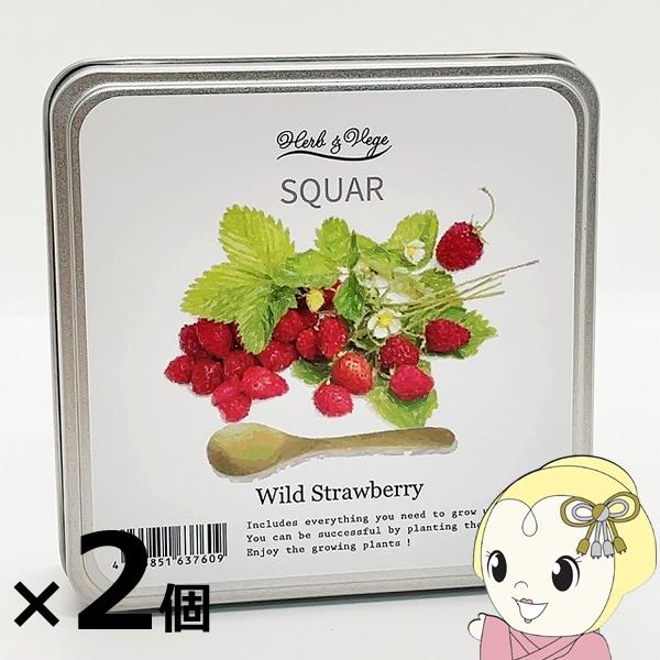 ハーブ＆ベジスクエア ワイルドストロベリー■缶のサイズ：124角×37Ｈ(mm)■内容：タネ、土、説明書、固形肥料、木製スプーン※記載は商品仕様の一部です。仕様説明不足等の理由での返品はできません。特に適合等は必ずご確認ください。