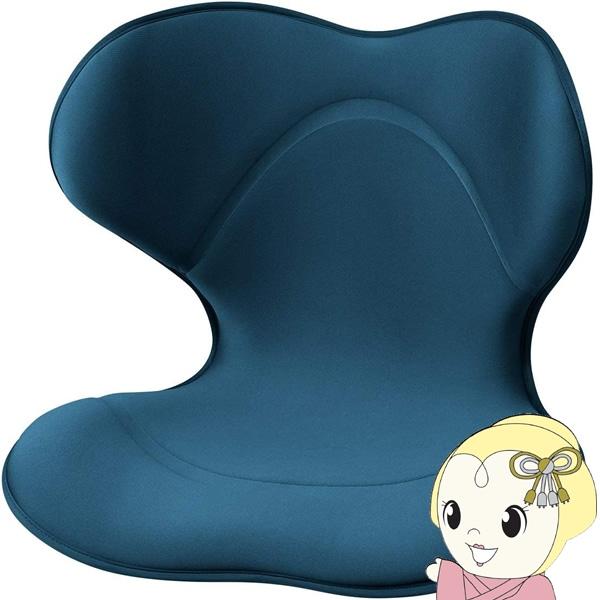 ●独自の機能で、本格姿勢ケアを実現「カイロサポートシステム」カイロプラクティックにおける正しい姿勢づくりのポイントは、骨盤を安定させ背骨のＳ字を保つこと。骨盤を安定させるための「腸骨」を支えるとともに、背骨のＳ字カーブをつくるための「腰椎」...