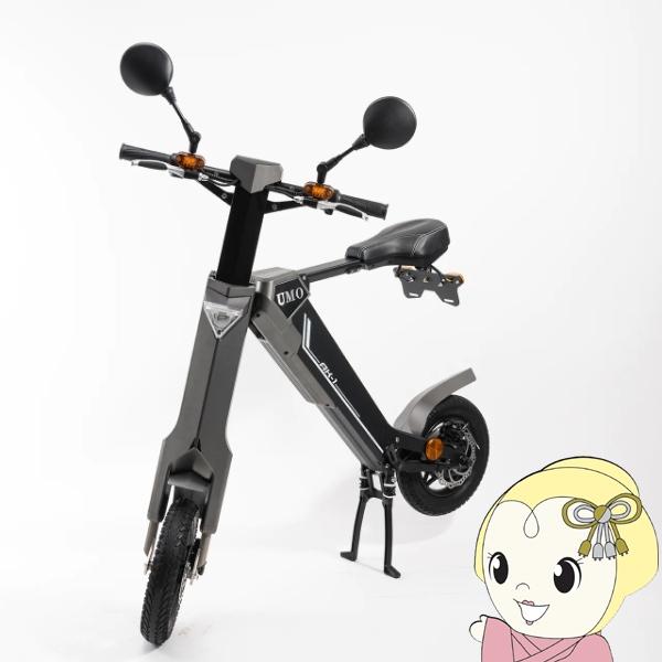 AK-1 PREMIUM / 折りたたみ電動バイクAK-1がパワーアップ！300Wハイパワーブラシモーター搭載！※交通法規に従い、ヘルメットの着用と免許証の携帯は忘れずに。■カラー：グレー＆ブラック■モーター定格電圧：48V■モーター定格出...