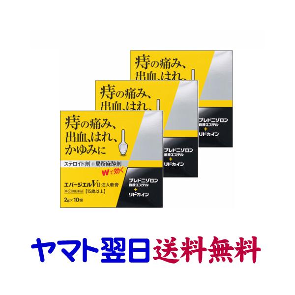 ★★南東北〜九州まで全国あすつく★★【指定第2類医薬品】市販薬　エバージエルＶII注入軟膏（3個セット）は、切れ痔、いぼ痔などによる出血、炎症や痛み、かゆみに、肛門の炎症を鎮めて、化膿菌を消毒して治療していきます。肛門の内側と外側の両方に使...