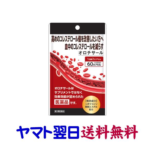 ★★南東北〜九州まで全国あすつく★★【第3類医薬品】市販薬　オロチサールは、血中のコレステロールを改善する医薬品です。有効成分リボフラビン酪酸エステル（ビタミンB2）を配合。コレステロール値が気になる方、運動不足や食生活の乱れが気になる方へ...