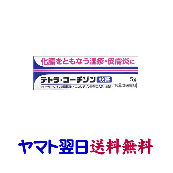 ★★南東北〜九州まで全国あすつく★★【指定第2類医薬品】市販薬　テトラ・コーチゾン軟膏は、抗生物質テトラサイクリン塩酸塩に、副腎皮質ホルモン剤（ステロイド）のヒドロコルチゾン酢酸エステルを配合した軟膏です。化膿を伴う湿疹、皮膚炎、あせも、か...