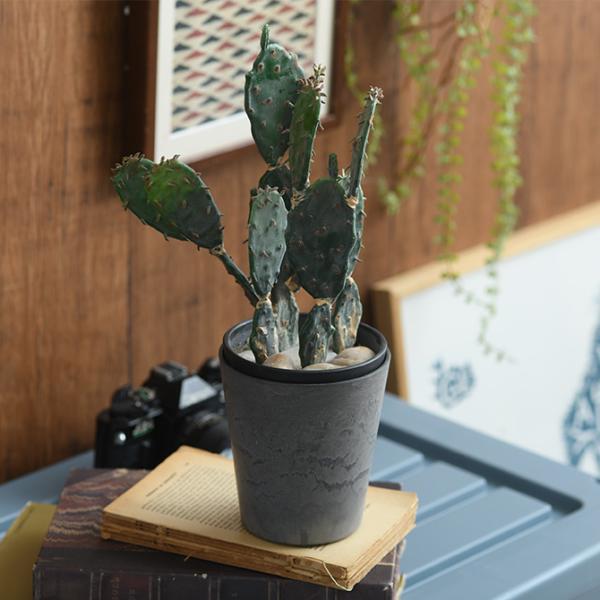 ■商品サイズ:高さ約31cmポット：高さ11×φ10cm■材質:ビニール・プラスチック製■原産国:中国■ご注意点:表記のサイズは自然に置いた状態にて計測しております。枝等を引っ張り伸ばしたサイズを測っているわけではありませんので、置き方や測...