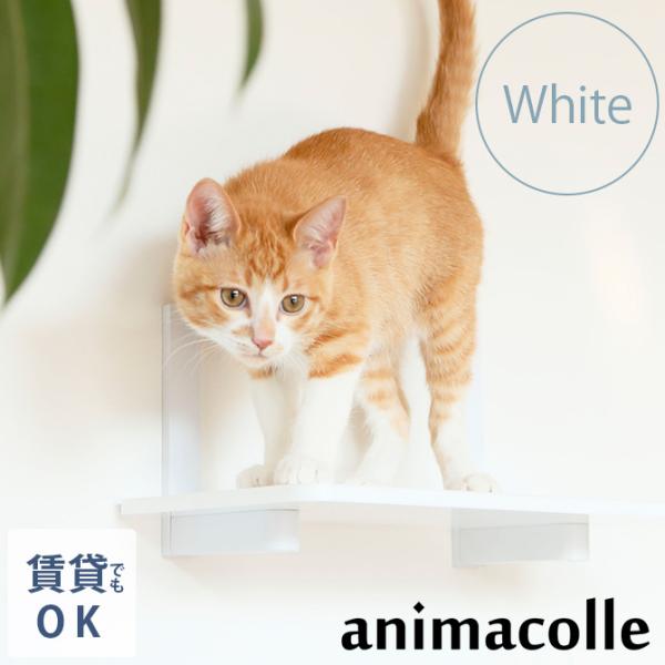 DIY感覚で簡単に取り付けできるキャットステップ ホワイト■備考:今ある空間に、新しいワクワクを。アニマコレのキャットステップ。こちらはベーシックなキャットステップのホワイトカラーです。■商品サイズ:棚板：幅35×奥行20×高さ0.8cm耐...