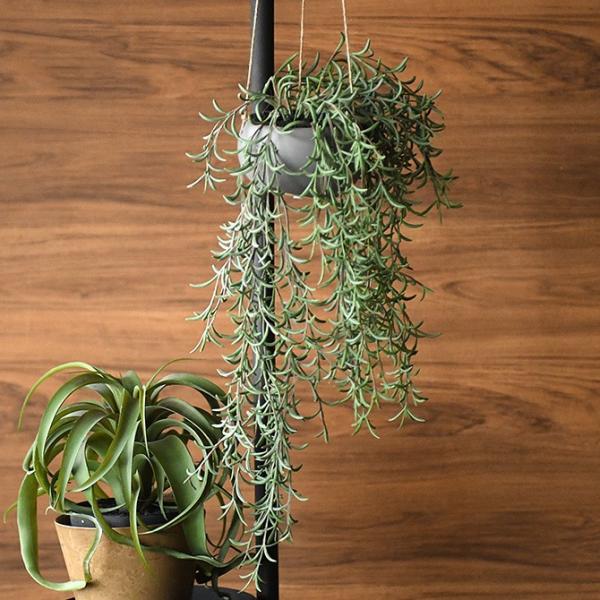 おしゃれな空間を演出 ポット付きのハンギングフェイクグリーン■備考:本物そっくりのリアルで高品質なフェイクグリーンを扱うブランド「Brown.(ブラウン)」の、ポット付き＆ハンギングタイプのホヤ。植え替えや水やりの必要がないのでお手入れが簡...